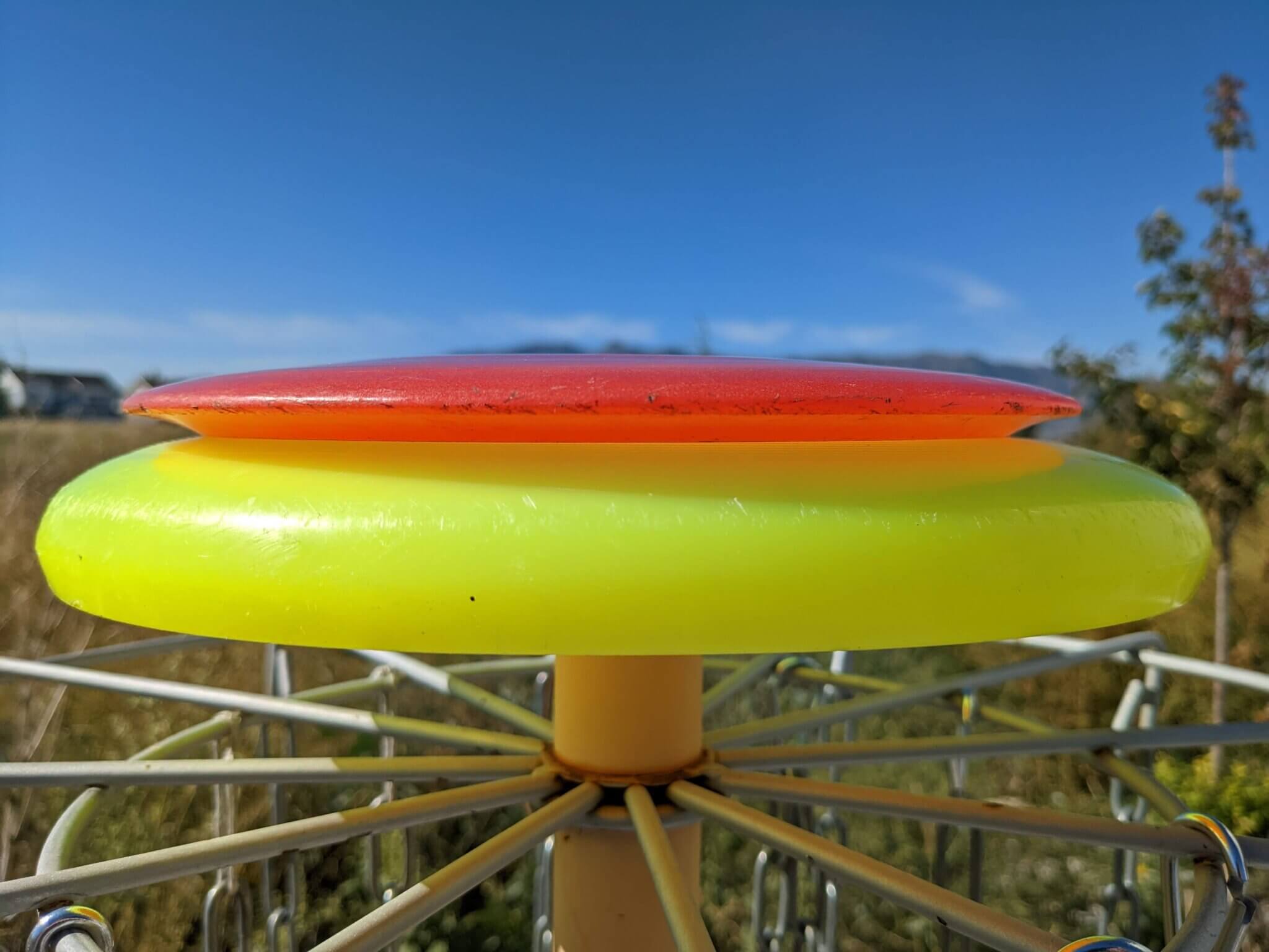 Discover Every Kind of Frisbee: Ultimate vs. Disc Golf Discs Explained